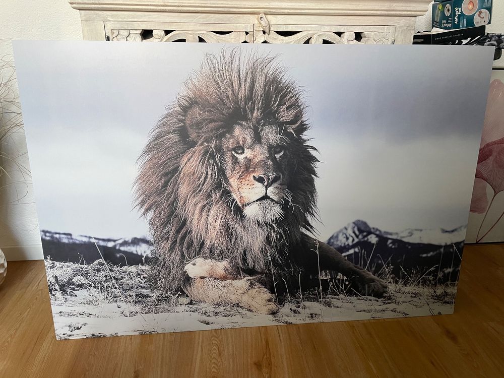 Bild Proud Lion 120 x 80 NEU | Kaufen auf Ricardo