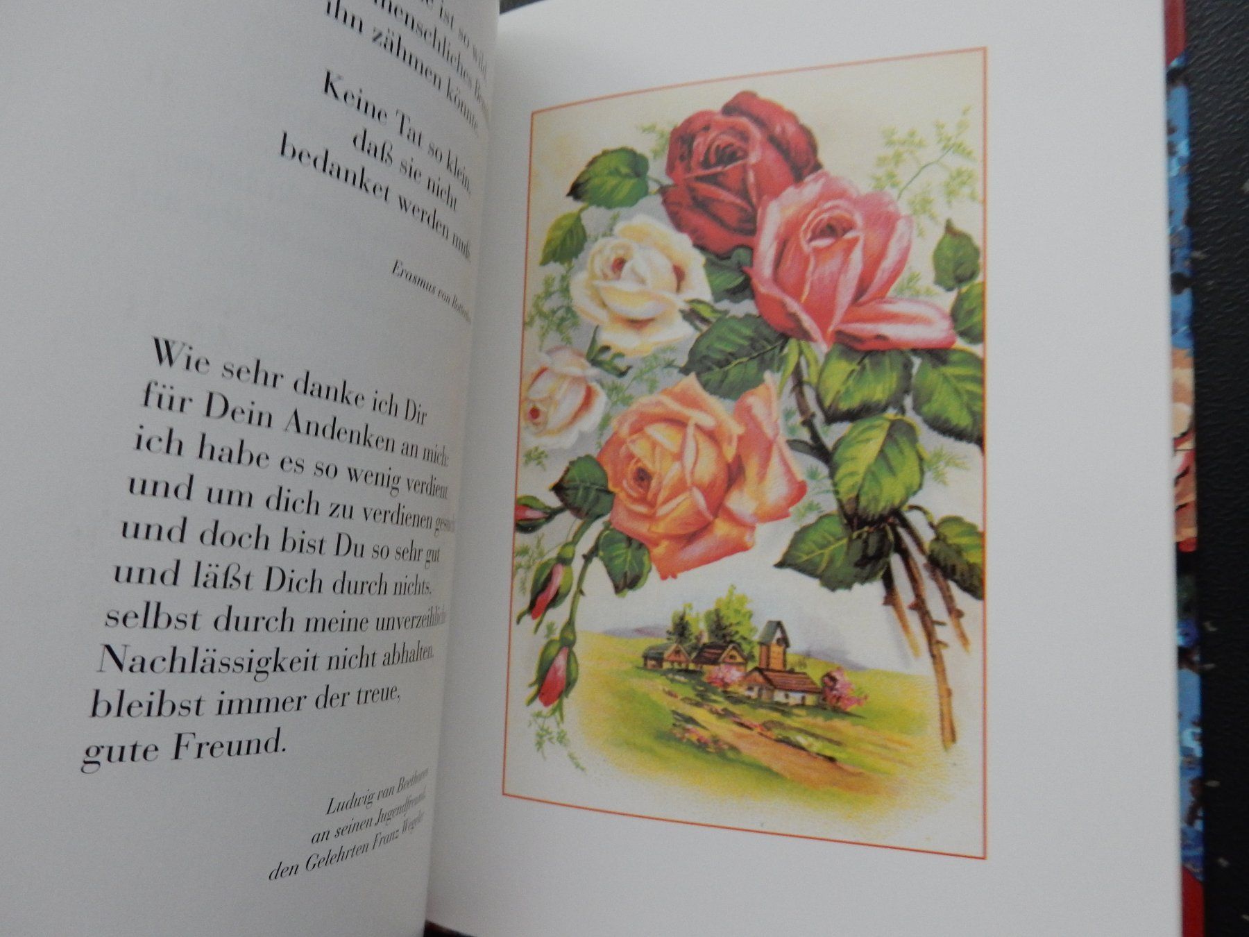 Geschenkbuch - Nostalgie Romantik 'Mit bestem Dank' (Neu (gemäss ...