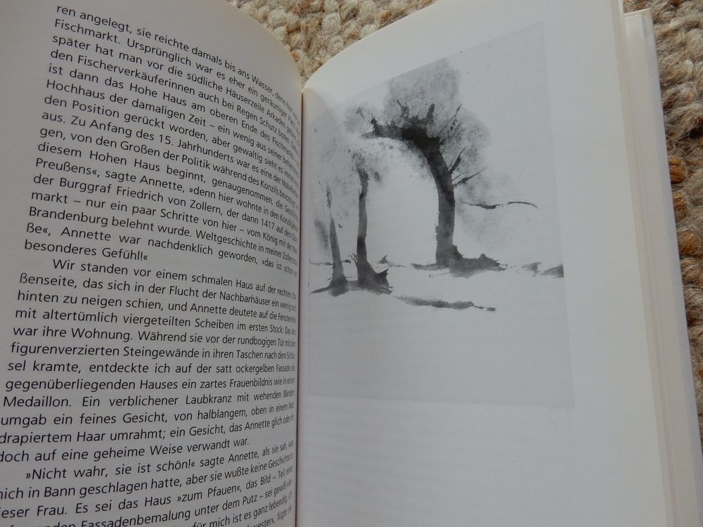 Seeliebe - Roman von Erika Dillmann, Stadler Verlag Schiff (Gebraucht ...