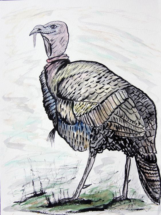 Aquarell: Truthahn (Neu (gemäss Beschreibung)) in Fribourg für CHF 20 – mit Lieferung auf ...