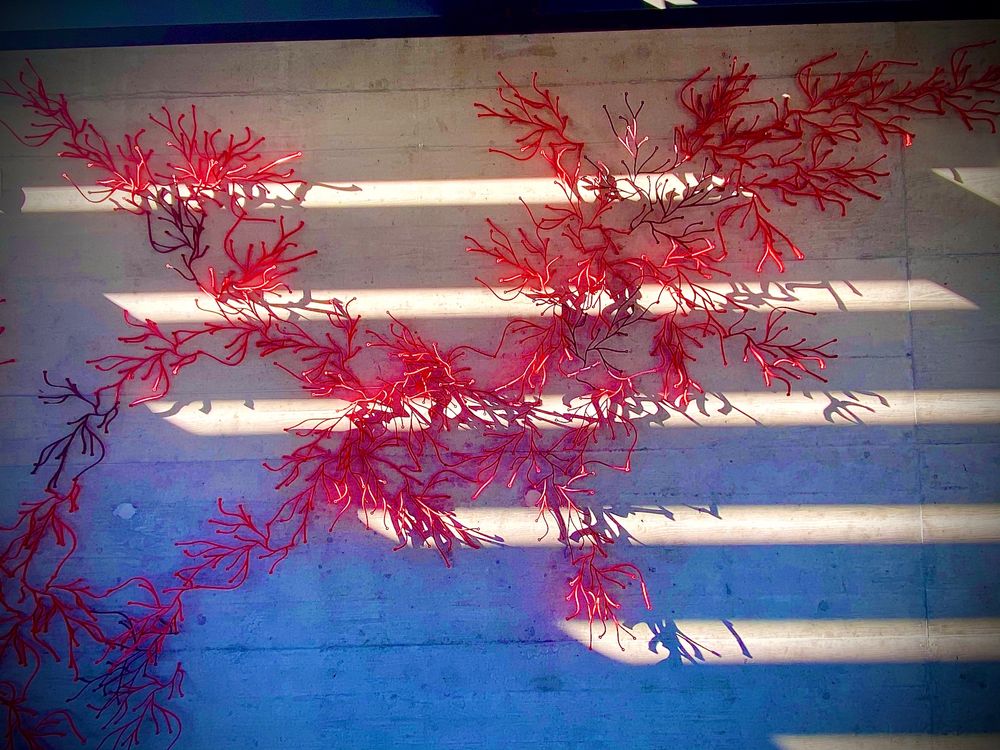 Vitra original Algue Ronan & Erwan Bouroullec (Gebraucht) in Miège für ...