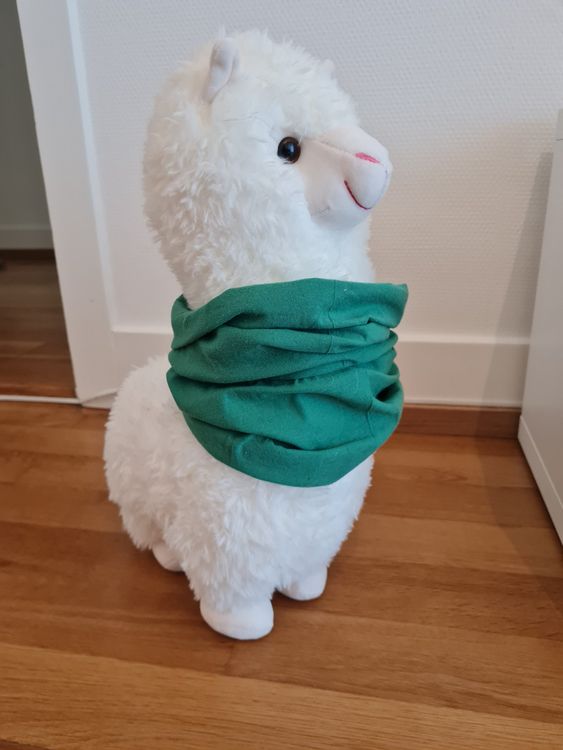 Buff | Kaufen auf Ricardo