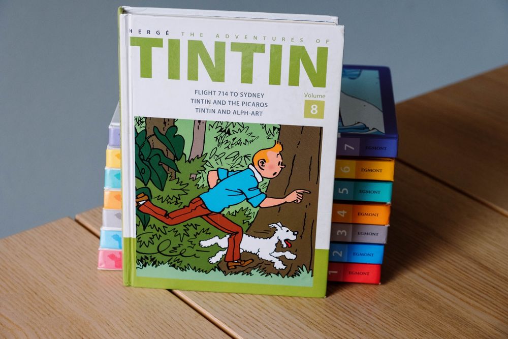 Tintin book complete collection in English (Gebraucht) in Les Monts-de ...
