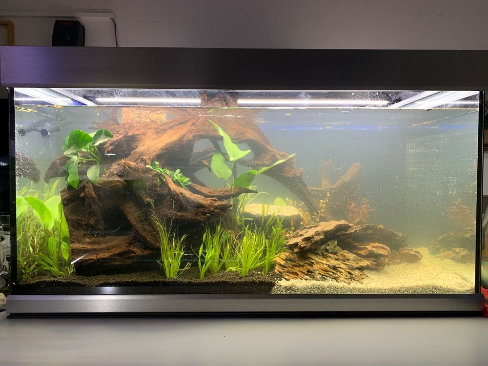 Eheim Proxima 250 (Gebraucht) in für CHF 50 – nur Abholung auf Ricardo ...