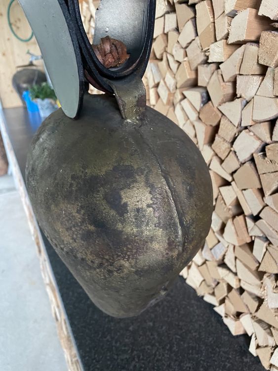 Treichel ab CHF 1.- (Gebraucht) in Altdorf für CHF 86 – mit Lieferung ...