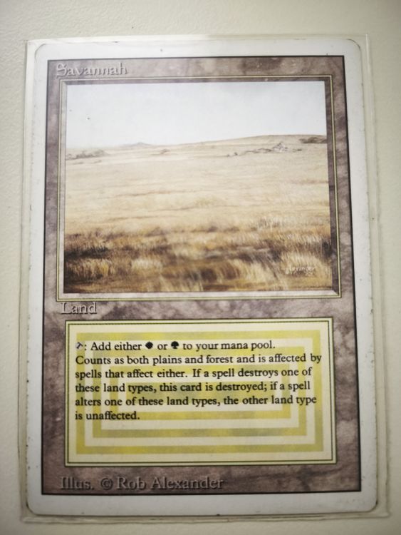 Magic The Gathering: Savannah - Edition limitée (D'occasion) à Vuarrens ...