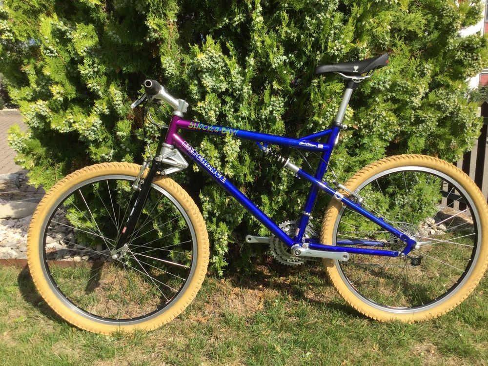 Vintage MTB Fat Chance (Gebraucht) in Dielsdorf für CHF 1220 – mit ...