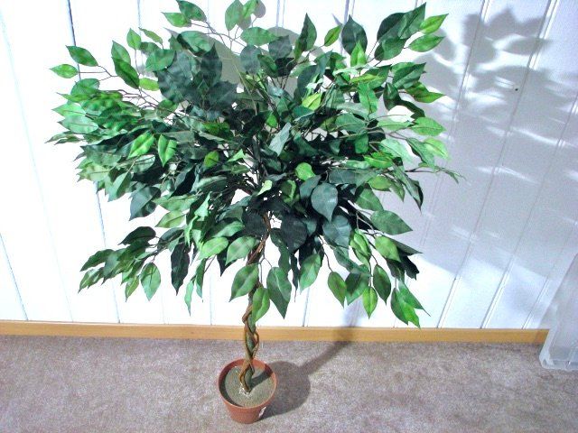 Ficus Benjamin Kunstbaum Künstliche Pflanze Deko Baum IKEA (Gebraucht ...