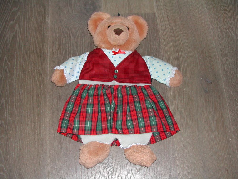Kuschliger Plüschteddy mit Wärmeflasche von Fashy (Gebraucht) in Trun ...