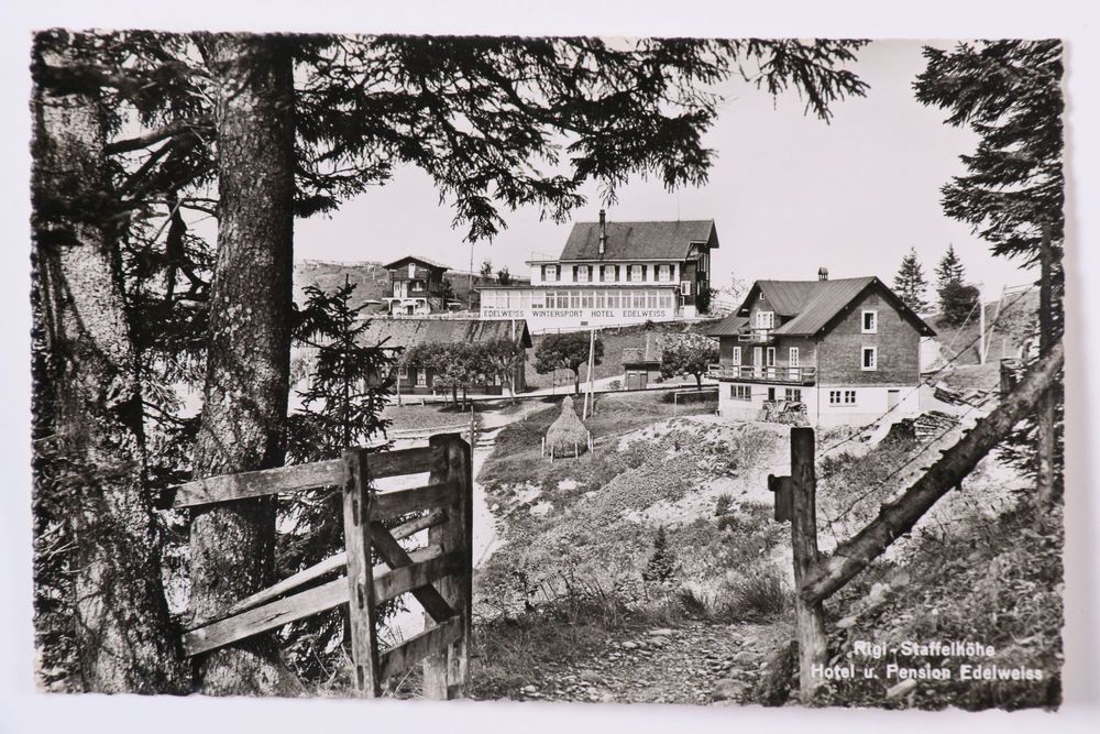 Rigi Staffelhöhe Hotel Und Pension Edelweiss Kaufen Auf Ricardo