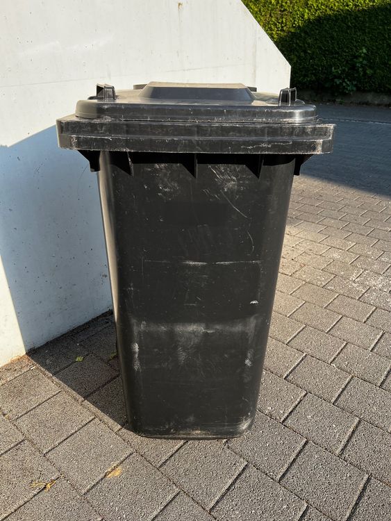 Weber Container 240 Liter (Gebraucht) in Unterägeri für CHF 7 – nur ...