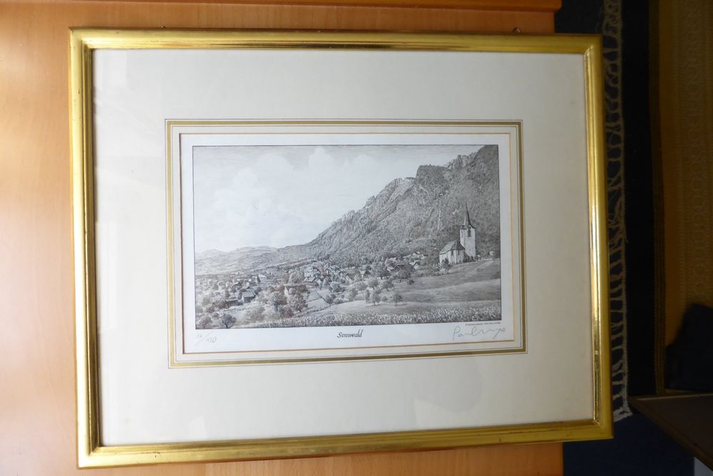 Paul Wyss Sevelen 16/120 Goldrahmen über Eck Originalgrafik (Gebraucht) in Brunnadern für CHF 65 ...