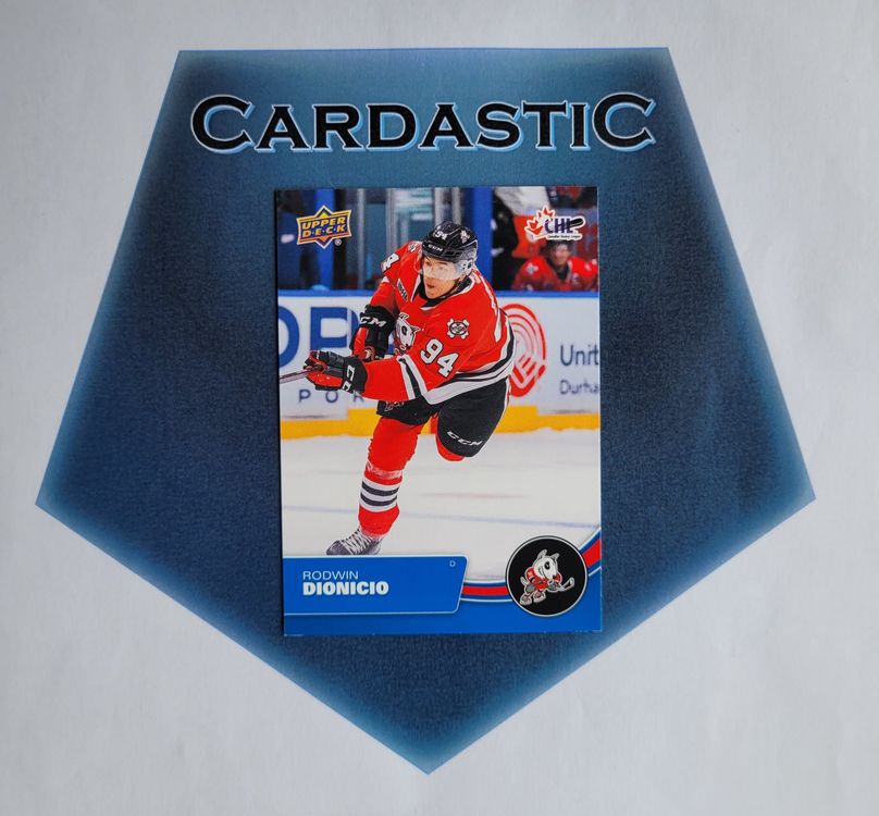 Rodwin Dionico 2021-22 CHL Blue HC Biel-Bienne (Gebraucht) in Laufen ...