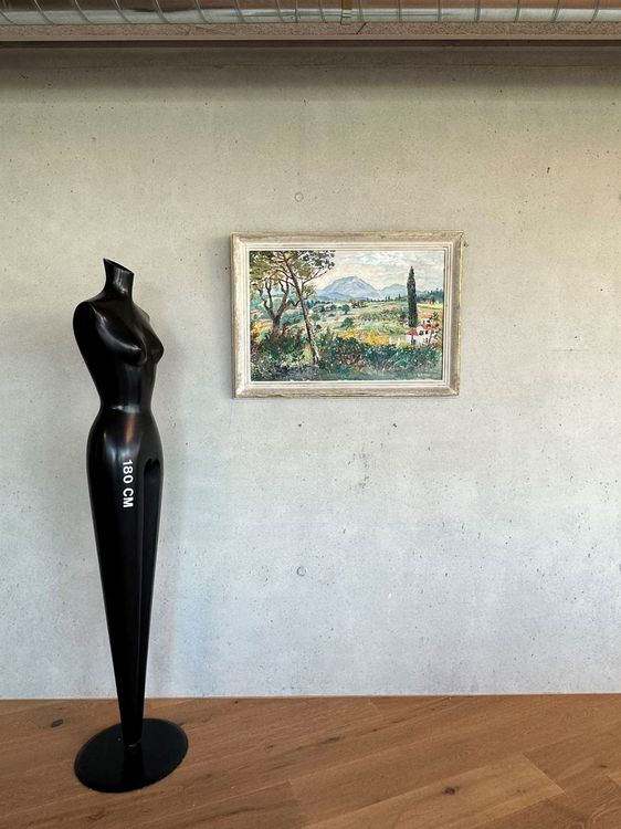 Hans-Rudolf Meyer - Swiss Art Selection | Kaufen auf Ricardo