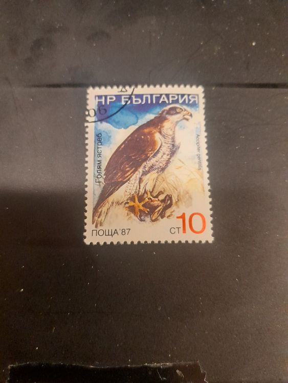 Bulgarie: Timbre rare de 1987 avec faucon pèlerin! | Kaufen auf Ricardo