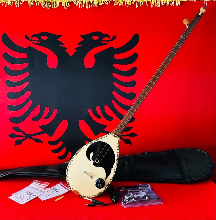 Qifteli Profesionale me mikrofiz | Kaufen auf Ricardo