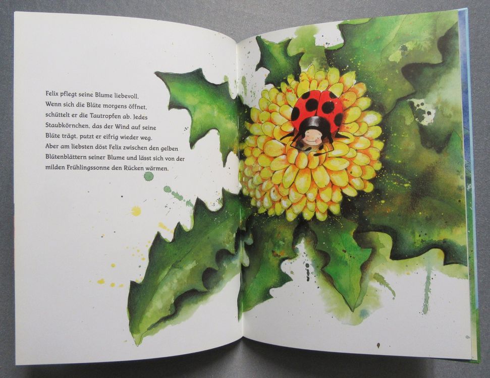 Felix und die Pustelblume - Felix der kleine Marienkäfer (Gebraucht) in ...