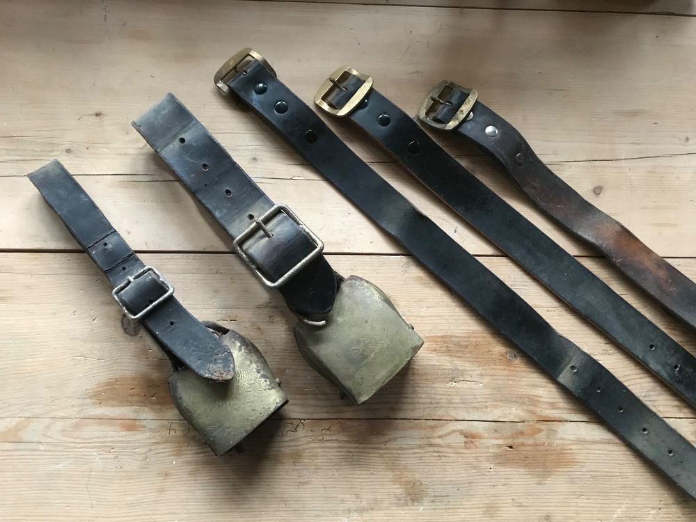 Schellen (Gebraucht) in für CHF 77 – mit Lieferung auf Ricardo kaufen