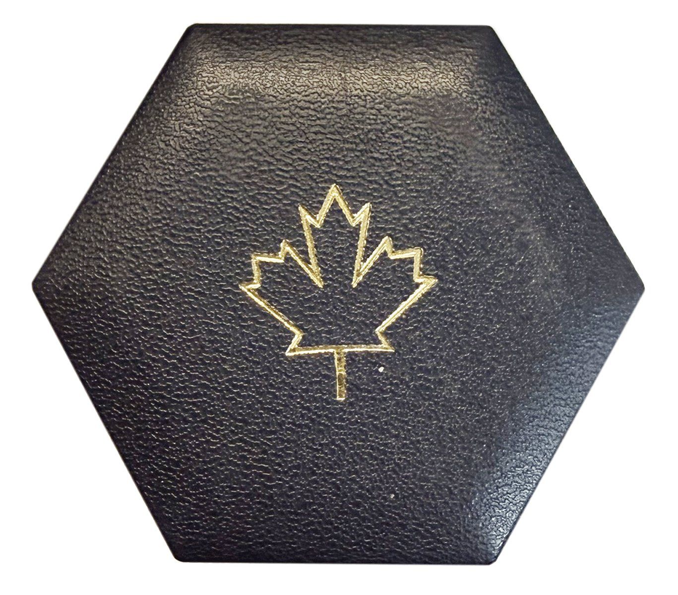 Feuille d'érable véritable plaquée or 24 carats rare 🍁 (Neu und ...