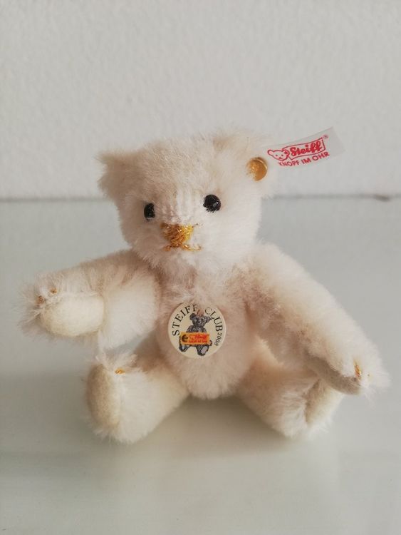 Steiff Club Bär 2008 ohne verpackung (Gebraucht) in Sissach für CHF 25 ...