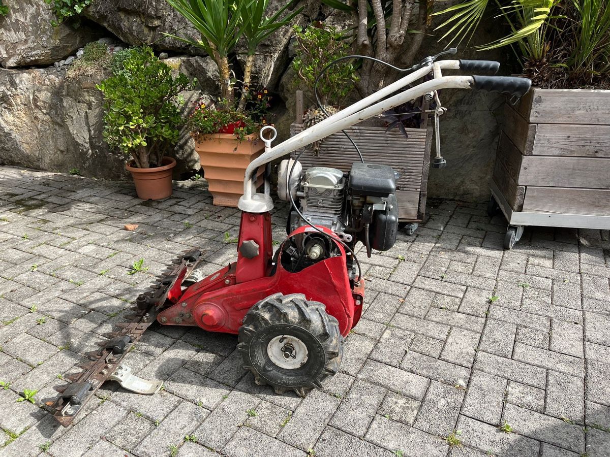 Balkenmäher Tielbürger 1 Meter (Gebraucht) in Salez für CHF 500 – nur Abholung auf Ricardo kaufen