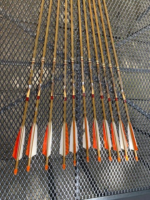 Pfeile Easton Axis Traditional 600 | Kaufen auf Ricardo