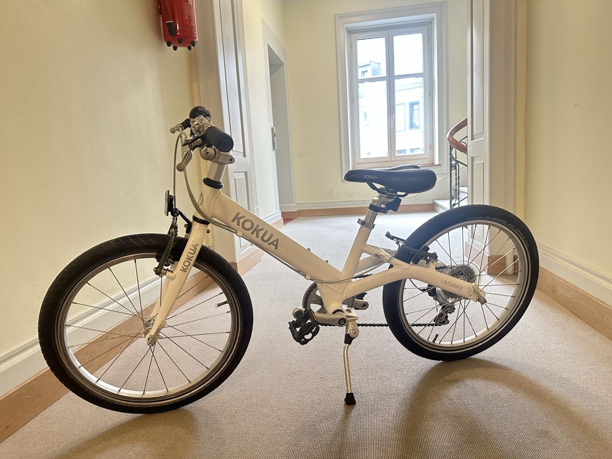 Kokua LIKEtoBIKE 20 Zoll Kinderfahrrad - Top Zustand! (Gebraucht) in ...