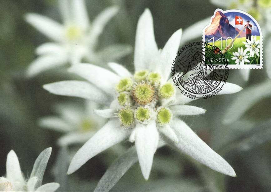 Maximumkarte Typisch Schweiz (Neu (gemäss Beschreibung)) in Dottikon für CHF 4 – mit Lieferung ...