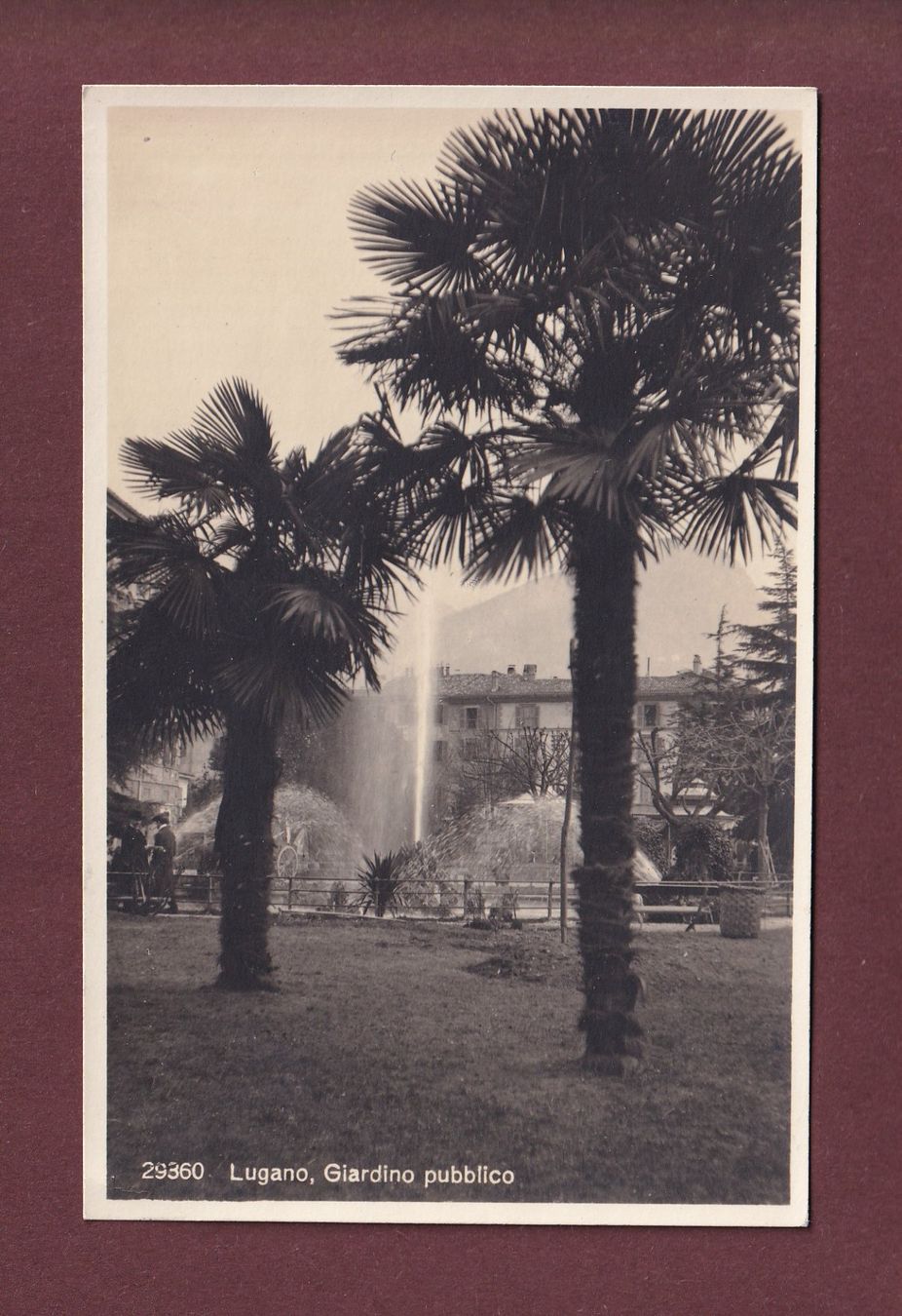 LUGANO - Giardino pubblico - Palme - 1924 (D'occasion) à Pully pour CHF ...