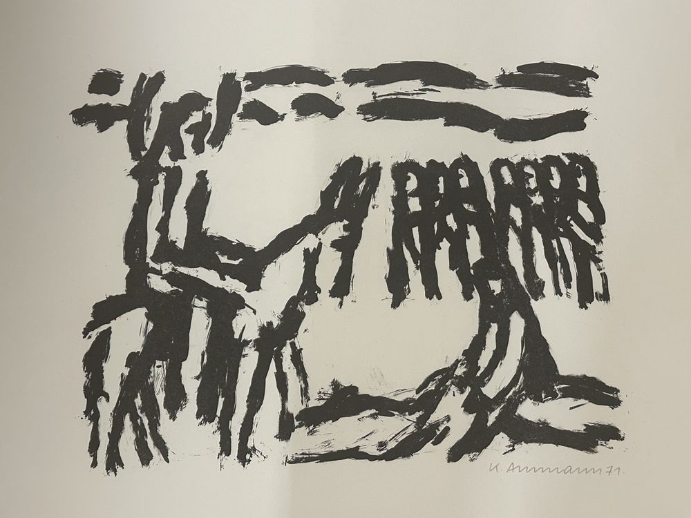 Karl Ammann 71' (Gebraucht) in Münsingen für CHF 50 – nur Abholung auf ...