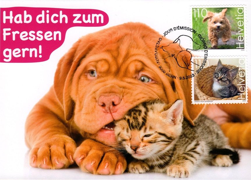 Maximumkarte Süsse Tiere - Hund und Katze (Neu (gemäss Beschreibung)) in Dottikon für CHF 5.5 ...