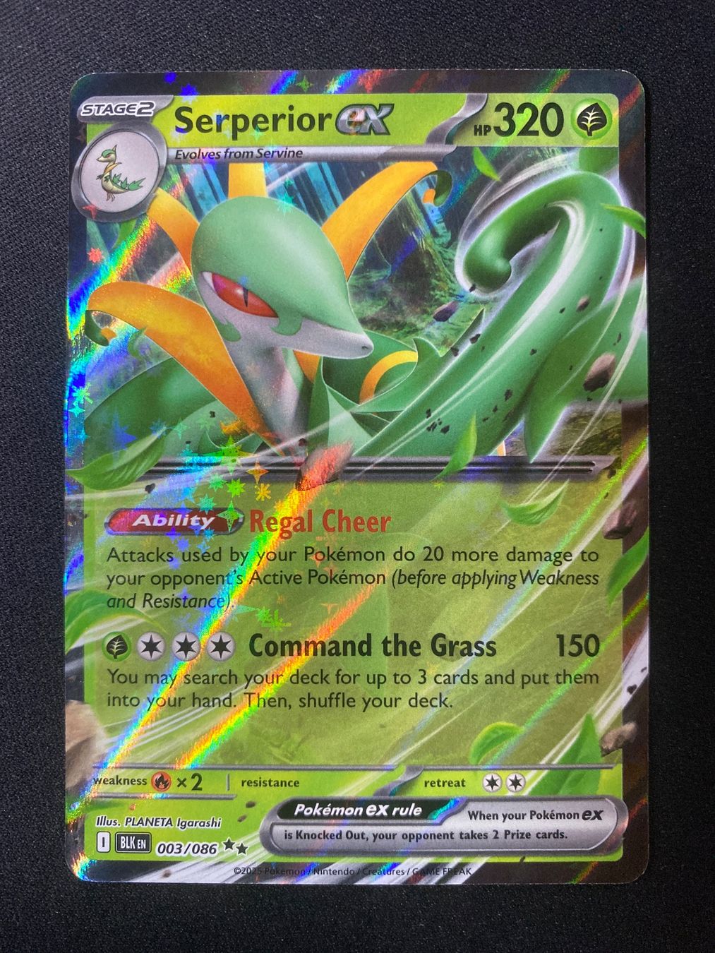 Serperior ex 3 - Serpiroyal ex - Black Bolt - 🇺🇸 ab 1 (Neu (gemäss ...