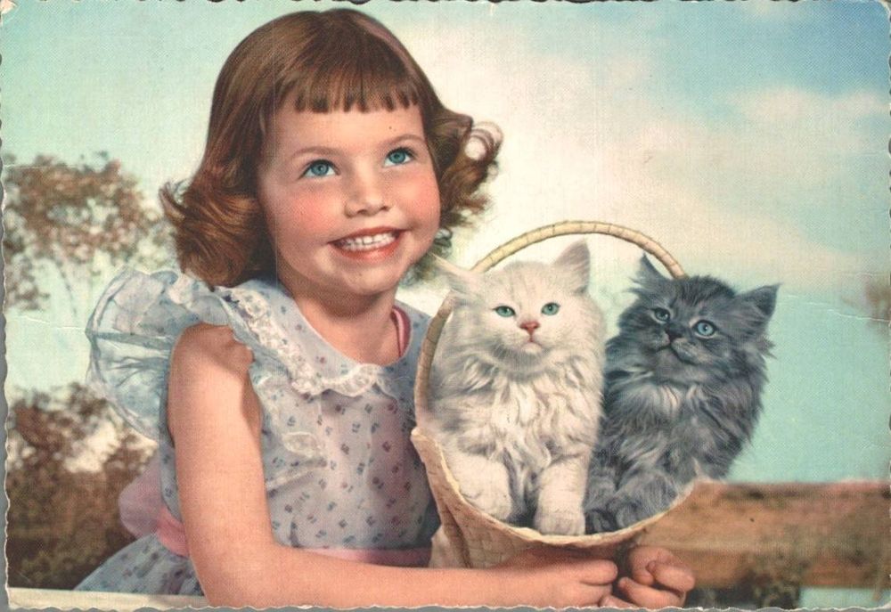 Mädchen mit 2 Katzen, gel. 1961 | Kaufen auf Ricardo