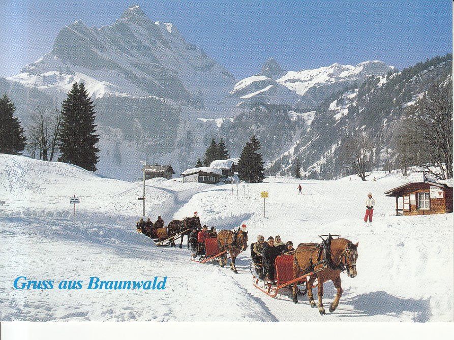 Braunwald 1989 | Kaufen auf Ricardo