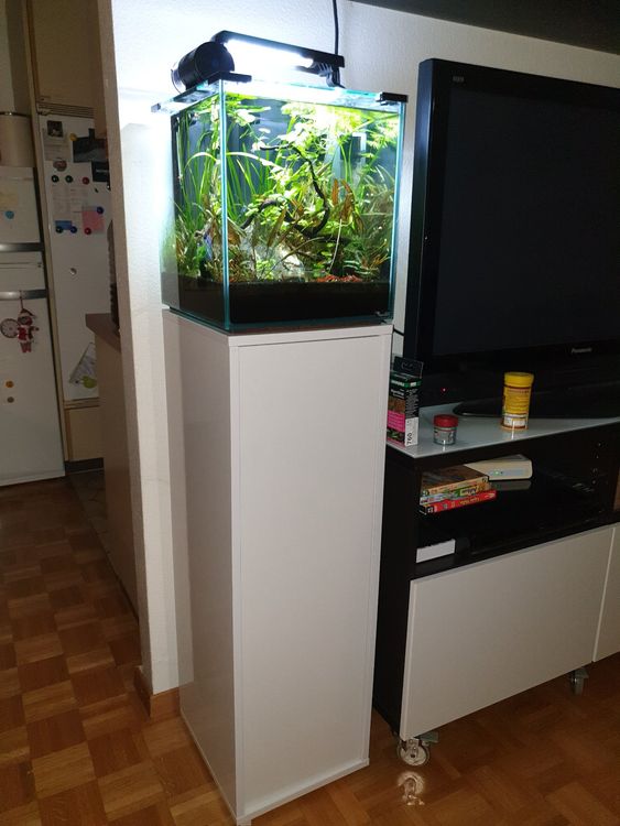 Aquarium 30 litres et meuble (Gebraucht) in Renens VD für CHF 120 – nur Abholung auf Ricardo kaufen