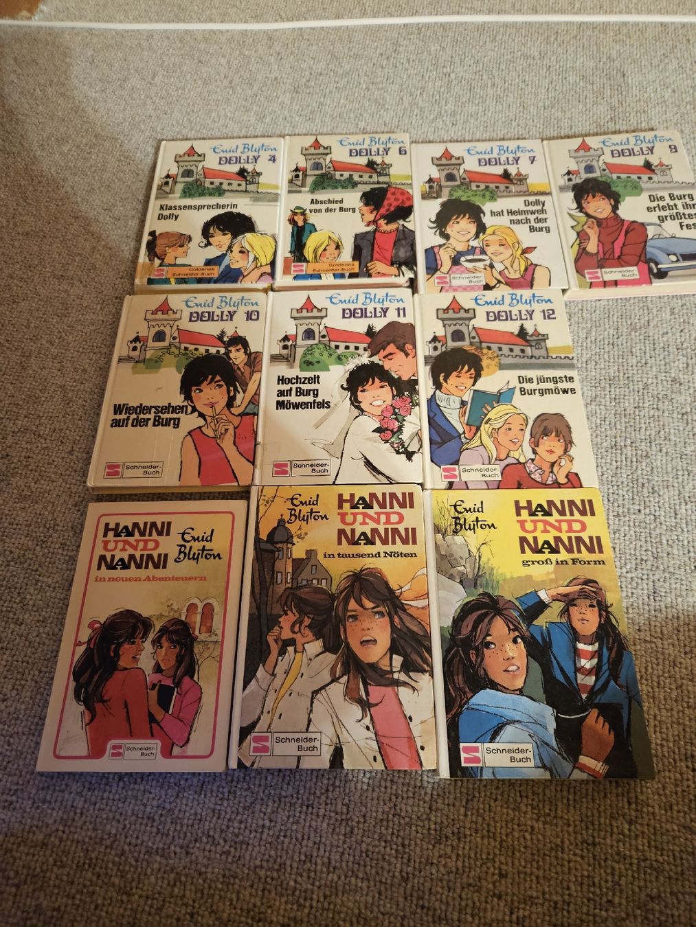 Hanni und Nanni und Dolly Bücher, Enid Blyton, guter Zustand (Gebraucht ...