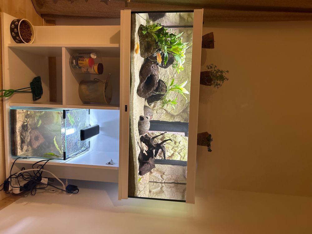 180 Liter Aquarium (Gebraucht) in für CHF 100 – nur Abholung auf ...