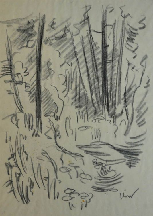 Karl Weber. Waldlandschaft. Kohle auf beigem Papier (Gebraucht) in Zumikon für CHF 10 – nur ...