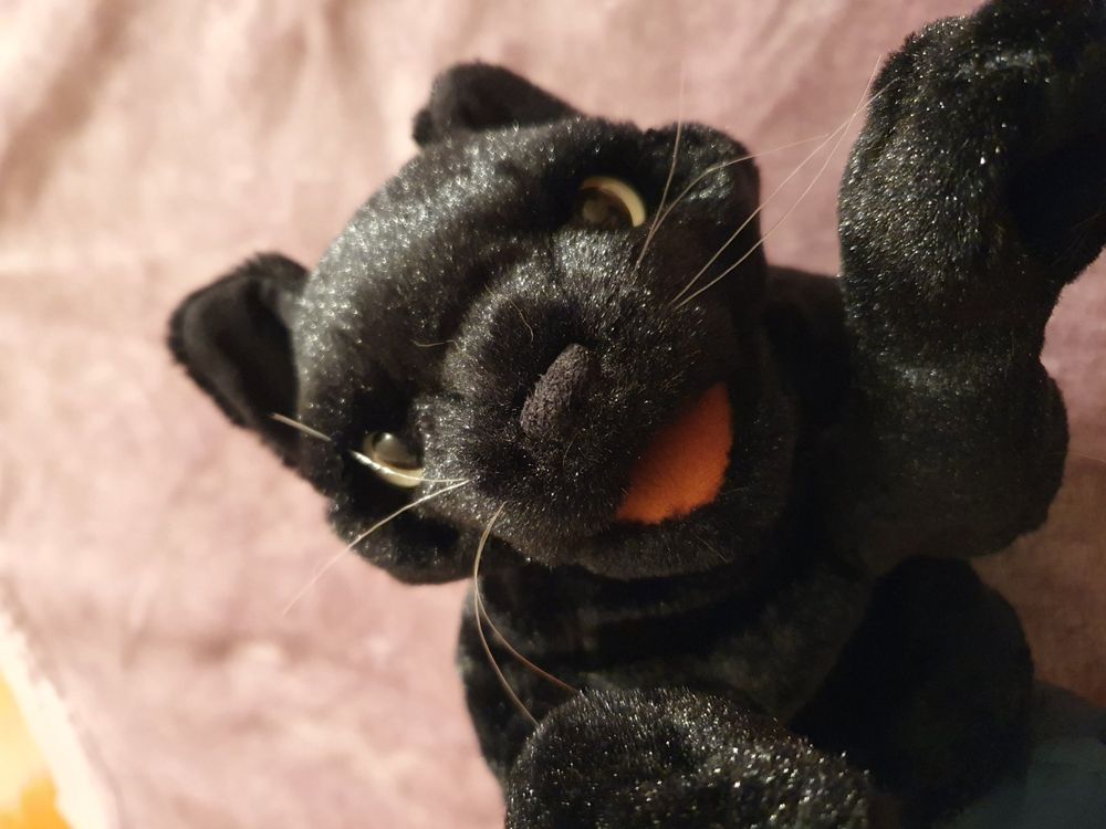 Katze Handpuppe Folkmanis | Kaufen auf Ricardo