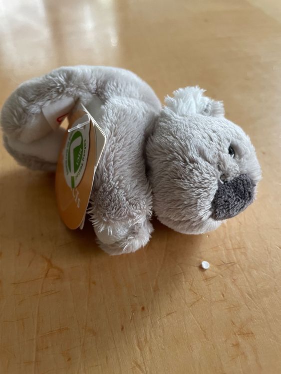 Nici Magnet (Neu und originalverpackt) in Aeschlen für CHF 5 – mit Lieferung auf Ricardo kaufen