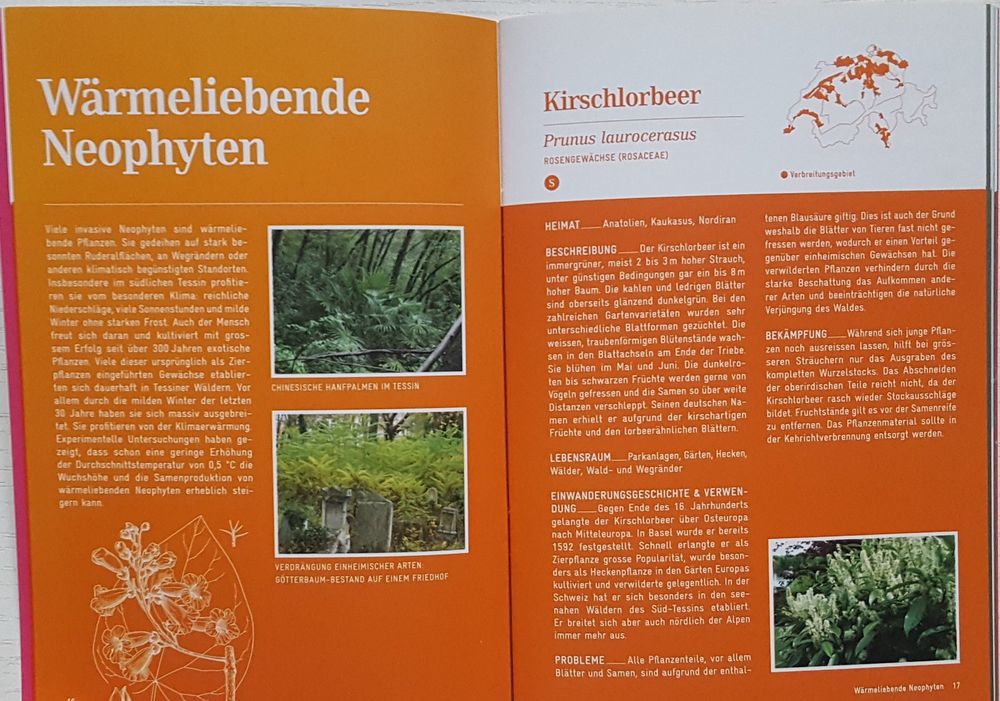 Problem der invasiven Neophyten (Botanischer Garten Bern) (Gebraucht ...