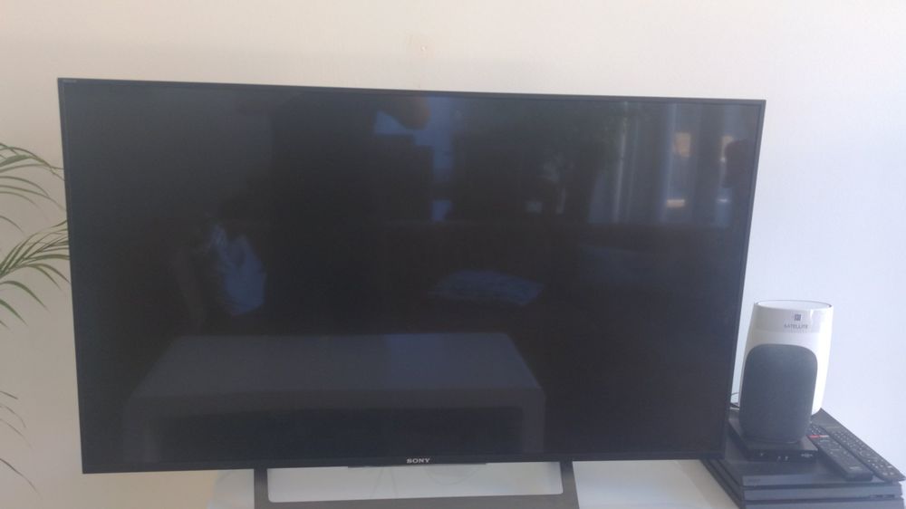 Sony Bravia TV - 49" - UHD/4K - Google TV - Bild defekt | Kaufen auf ...
