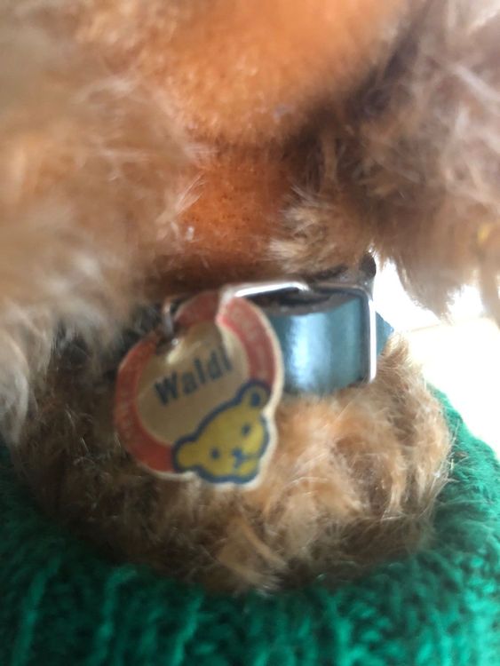 STEIFF Dackel Waldi Plüsch 🐕 Hund ORIGINAL & ANTIK (Gebraucht) in Scuol ...