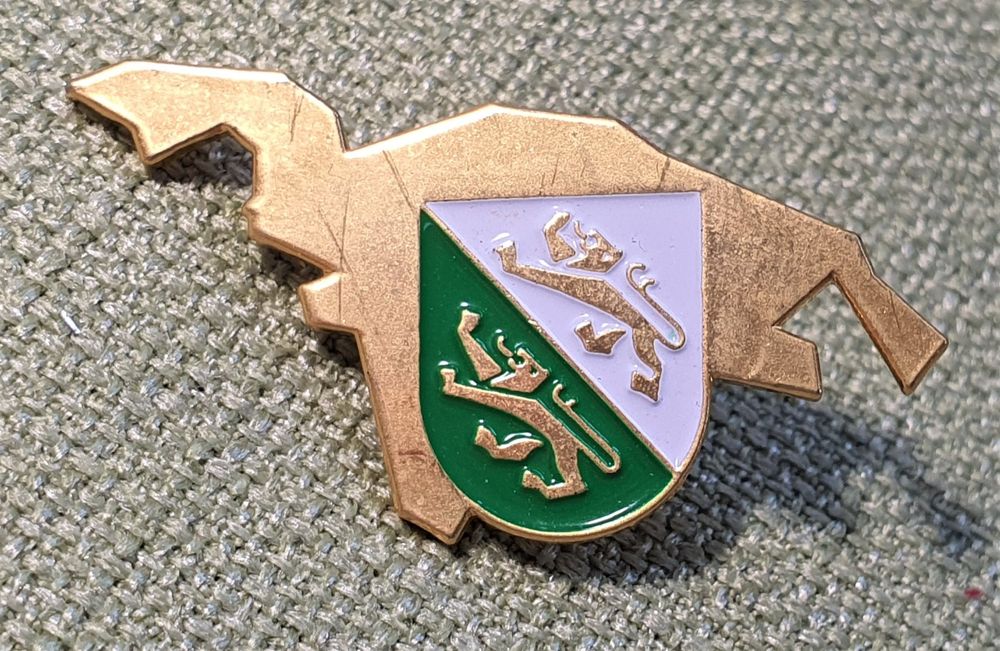 P026 - Pin Wappen mit Kantonsgrenze - Thurgau (Gebraucht) in Reinach BL für CHF 2 – mit ...