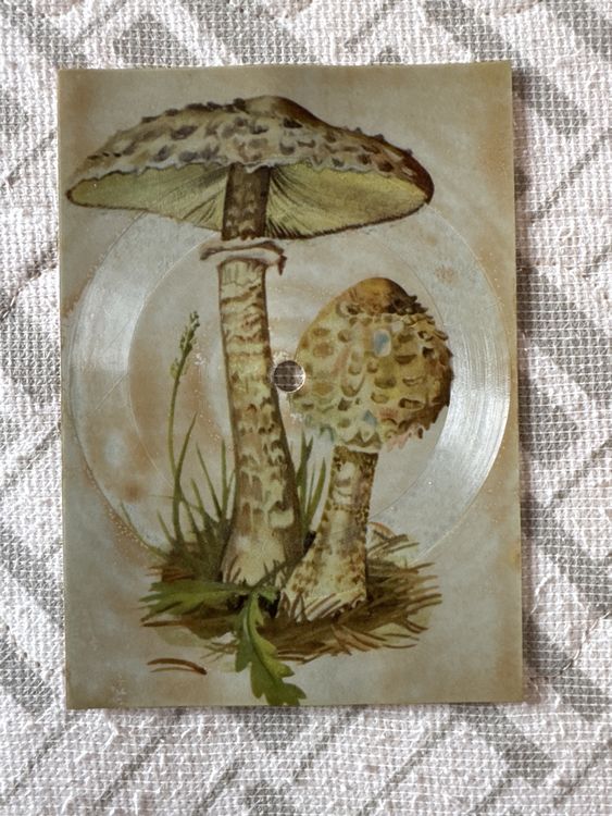 Pilz-Postkarte, Vintage, CZUBAJKA KANIA (SOWA), RARITÄT! (Gebraucht) in ...