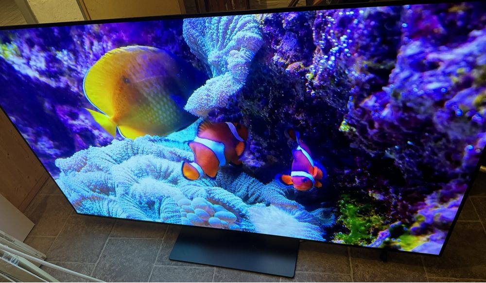 Panasonic OLED 4K TX-65FZC835 (Defekt) in Horgen für CHF 104 – nur Abholung auf Ricardo kaufen