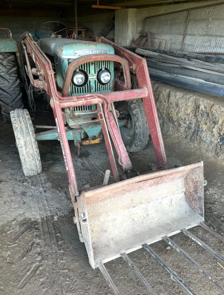 Bührer Traktor mit Frontlader (Gebraucht) in Büetigen für CHF 2510 ...