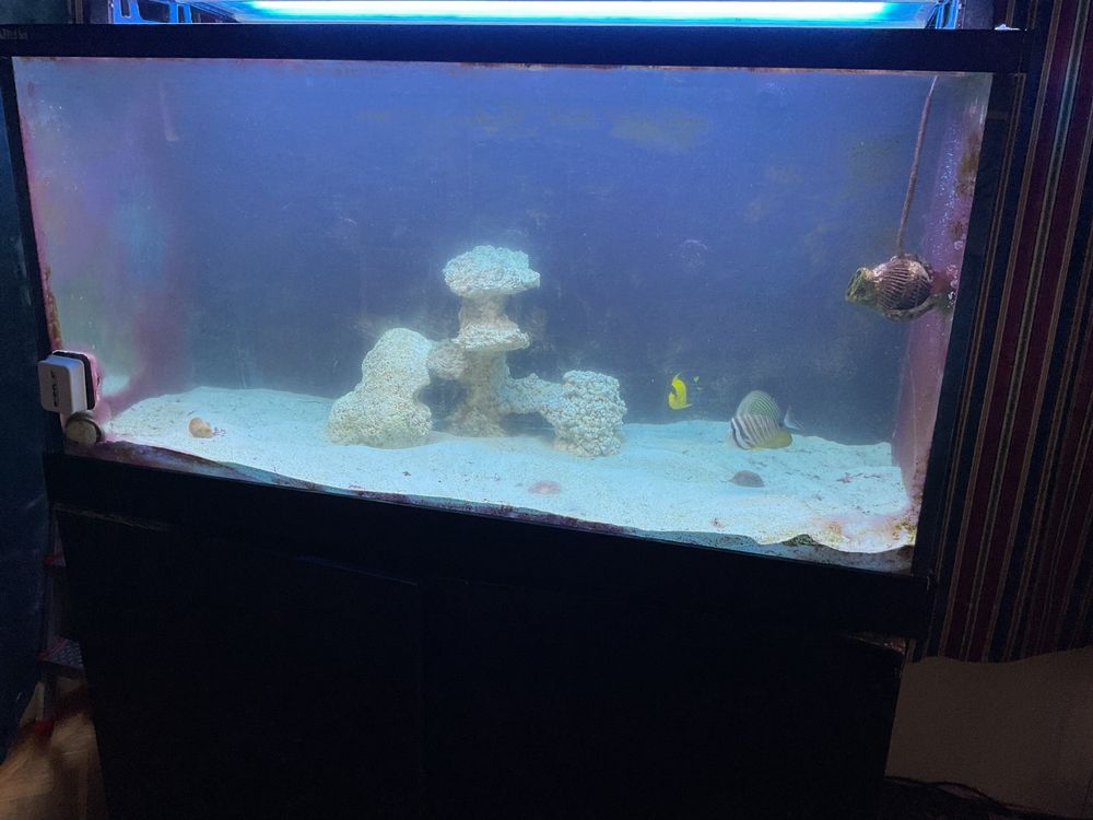 REDSEA 500 Liters (Gebraucht) in Zürich für CHF 200 – nur Abholung auf ...