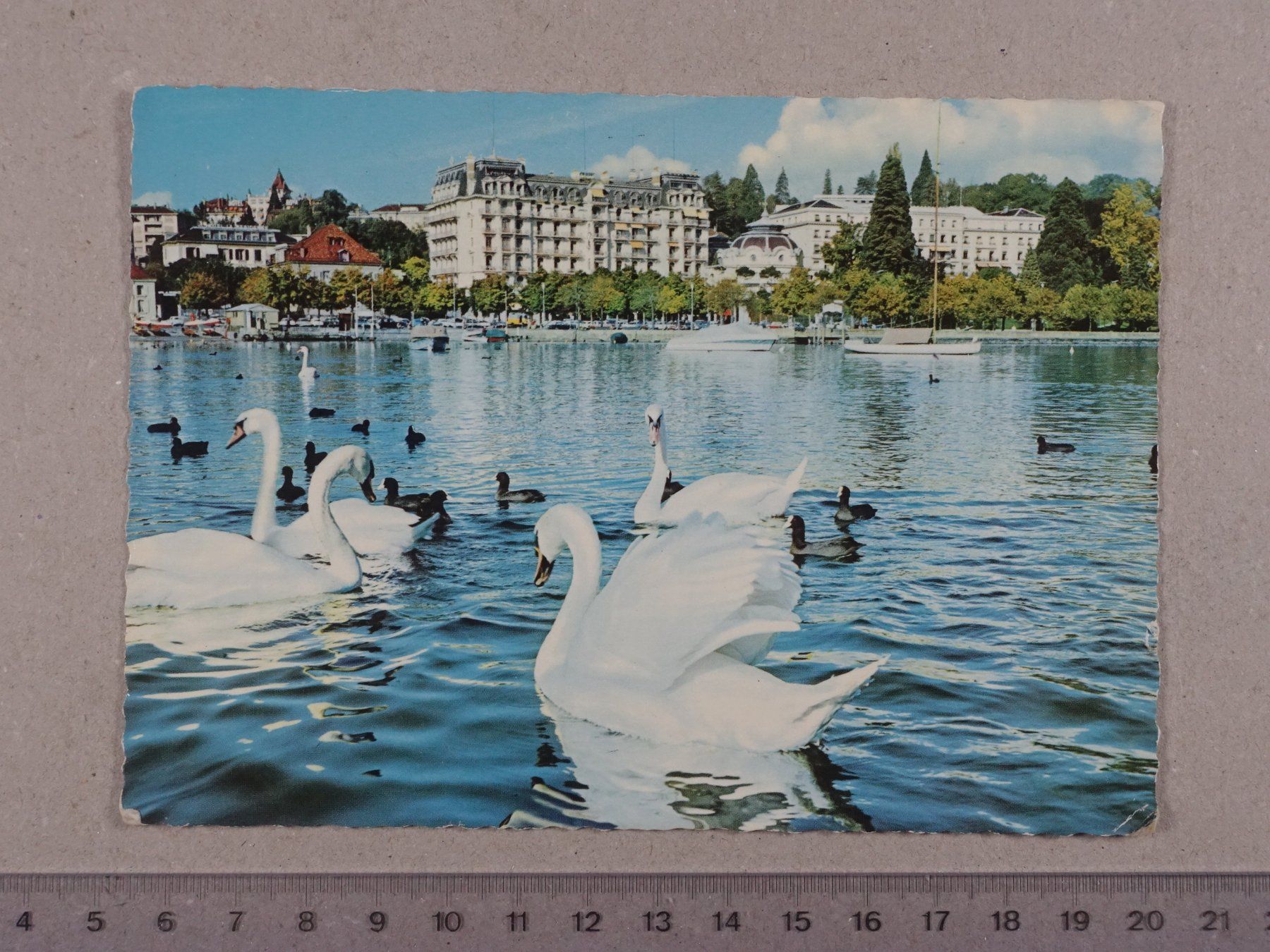 Lausanne Ouchy, L'Hotel Beau-Rivage, cygnes, Schwan, Schwäne (Gebraucht ...