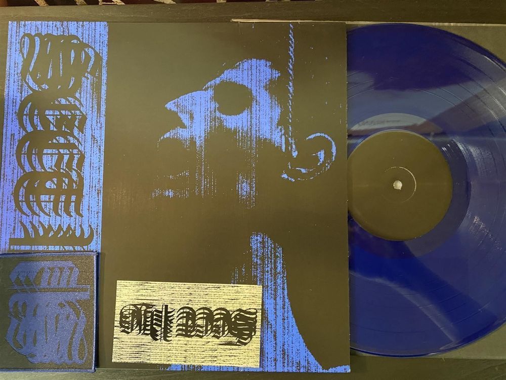 Sect Pig – Slave Destroyed [LP US 2013] (Gebraucht) in Tamins für CHF ...